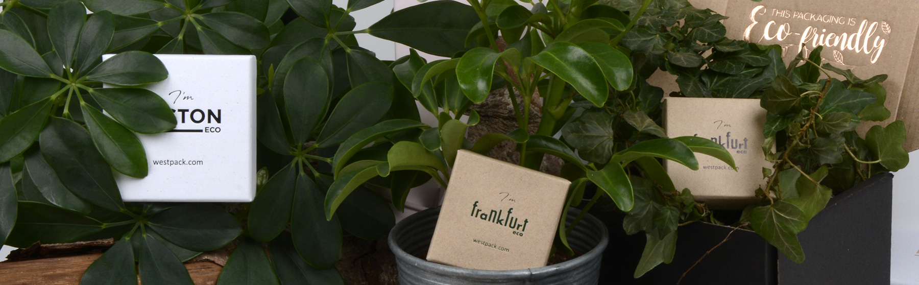 Customized solutions | One-of-a-kind packaging for your brand